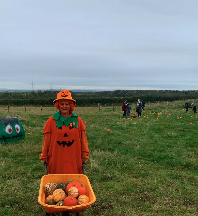 Pumpkin Patches in the North East