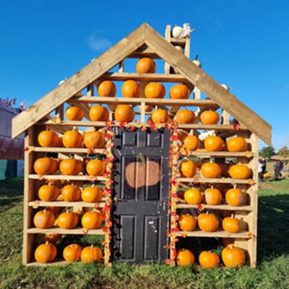 Ten Pumpkin Patches in the North East to Visit - Tyne Tunnel 2
